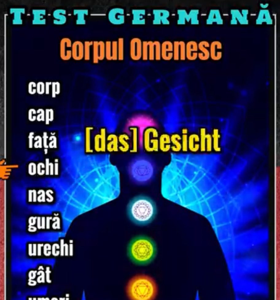 Corpul omenesc - Test Germană - Învață Germană fără Profesor